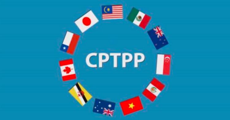 学者：CPTPP明年第3季开执委会 将是台湾能否取得入场券关键｜壹苹新闻网